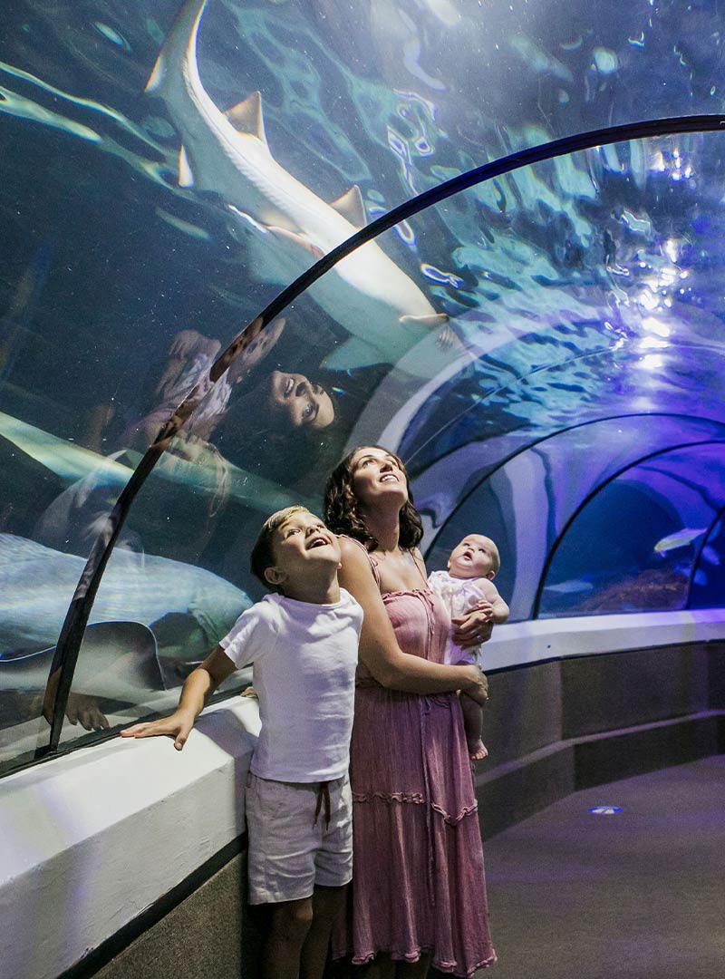 Best Experiences at the Heart of Mooloolaba